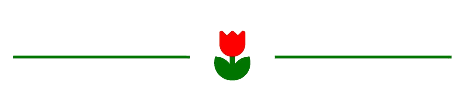 Home | Allyson's Flowers